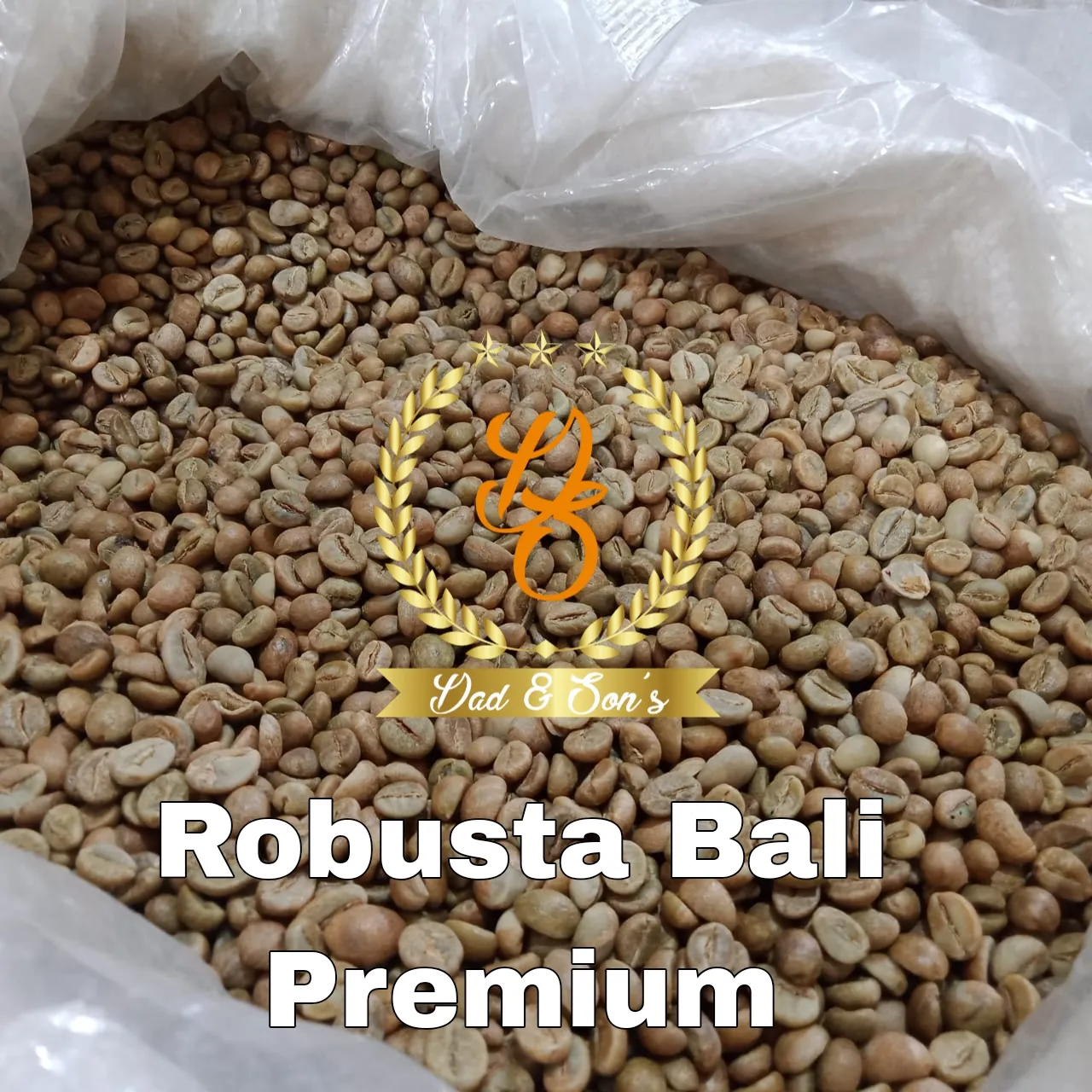 Robusta Bali Premium - SOLD OUT | Green Bean Robusta | Royalle Coffe